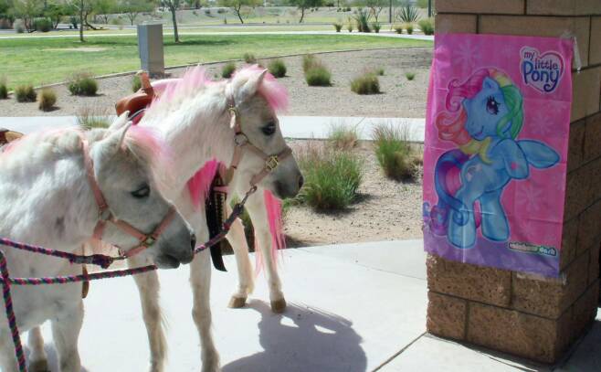 Website Designed at Homestead™ List Your Business for Free