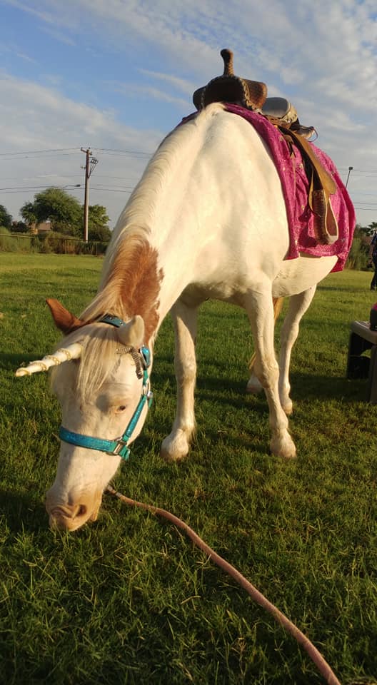 Website Designed at Homestead™ List Your Business for Free