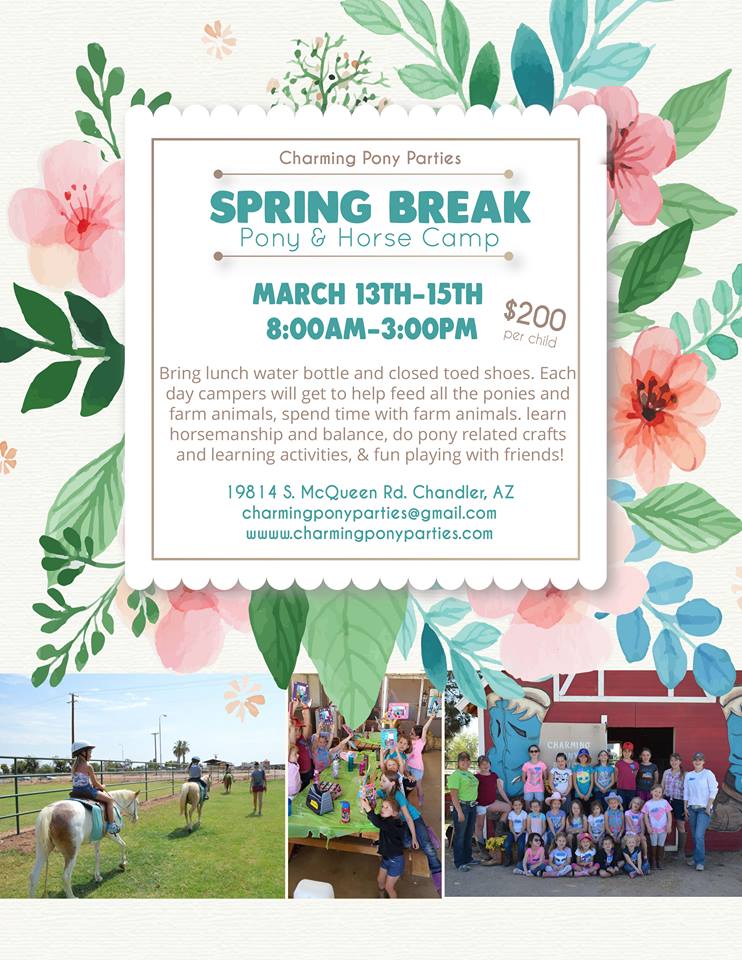 Charming Pony Parties Chandler , AZ